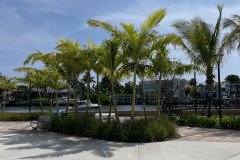 Spanish River Park - Visit Boca Raton
